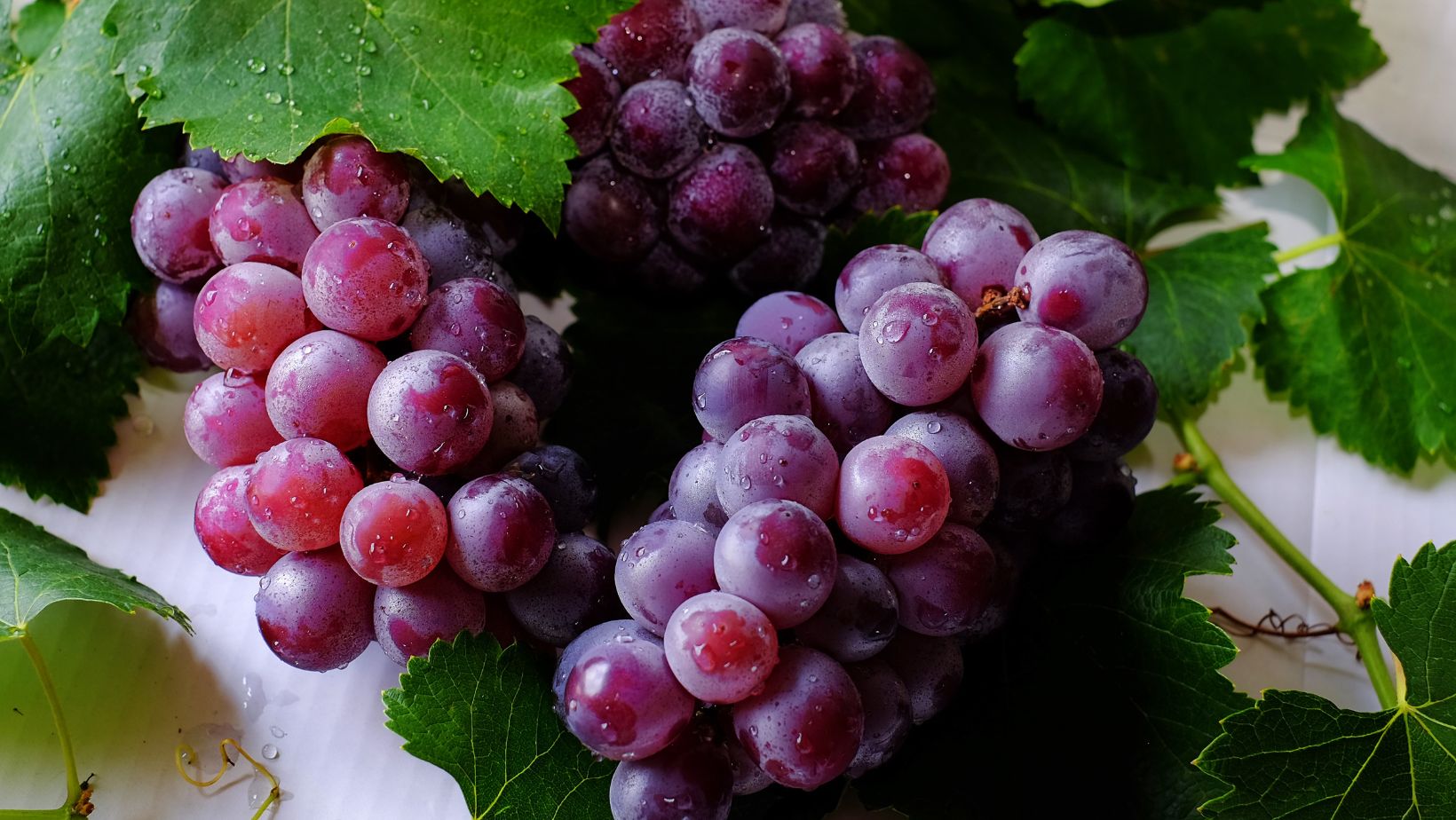 Grape Plantation at Home: A Step-by-Step Guide to Growing Your Own ...