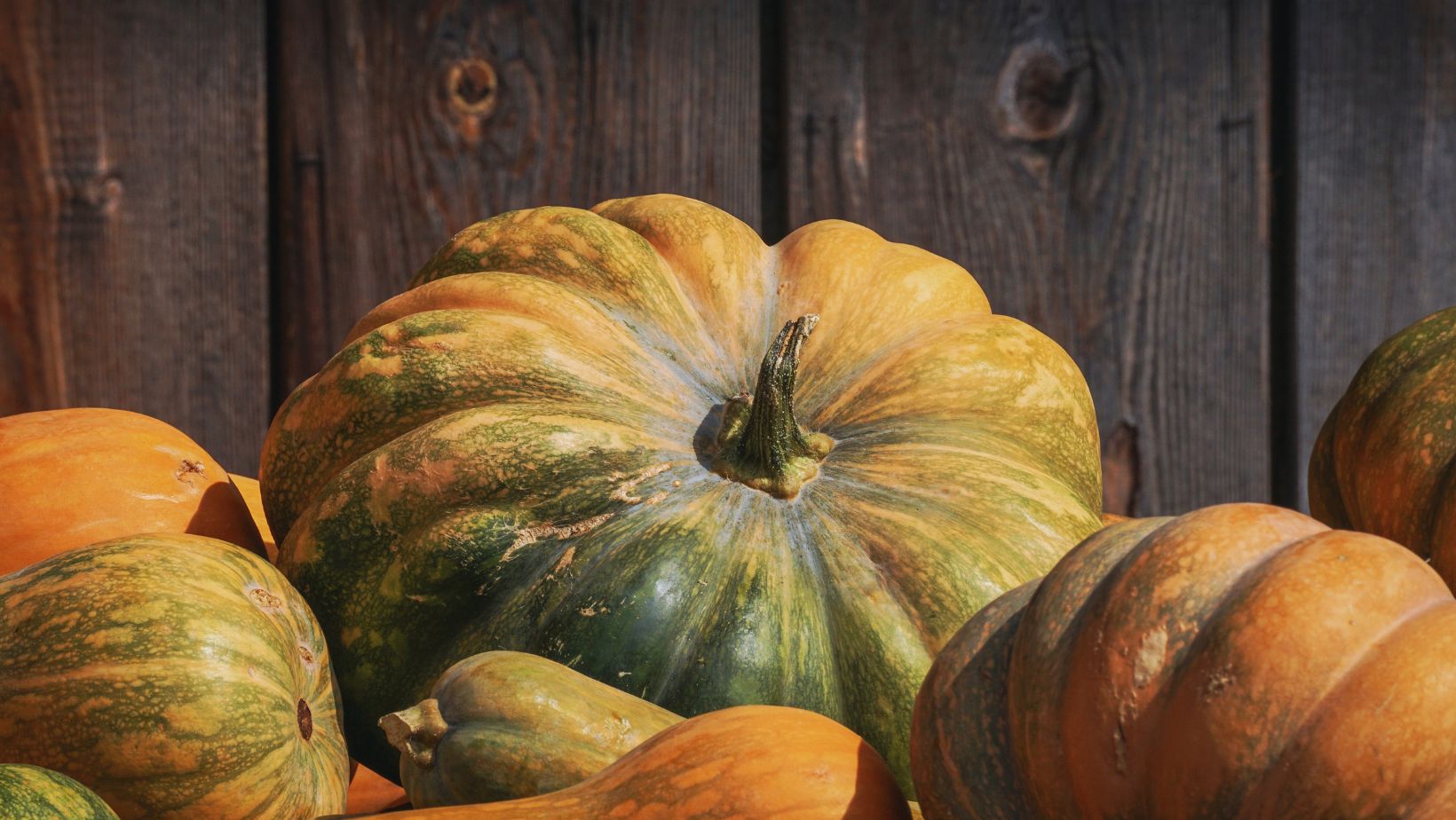 The Ultimate Pumpkin Gardener's Handbook: Tips, Tricks, and Treasures ...