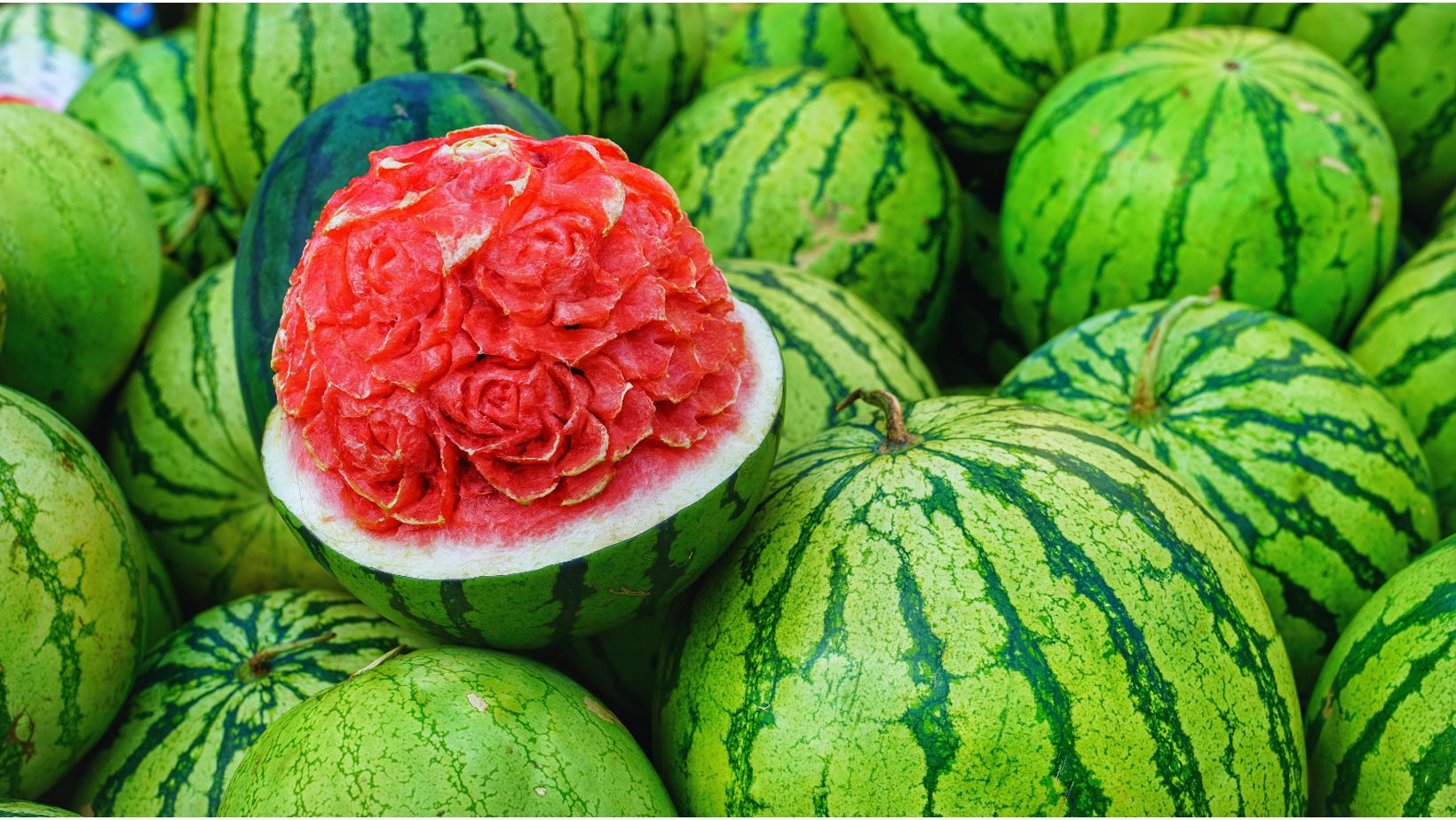 Mastering Watermelon Farming: Your Step-by-Step Guide - Bonsai Nursery