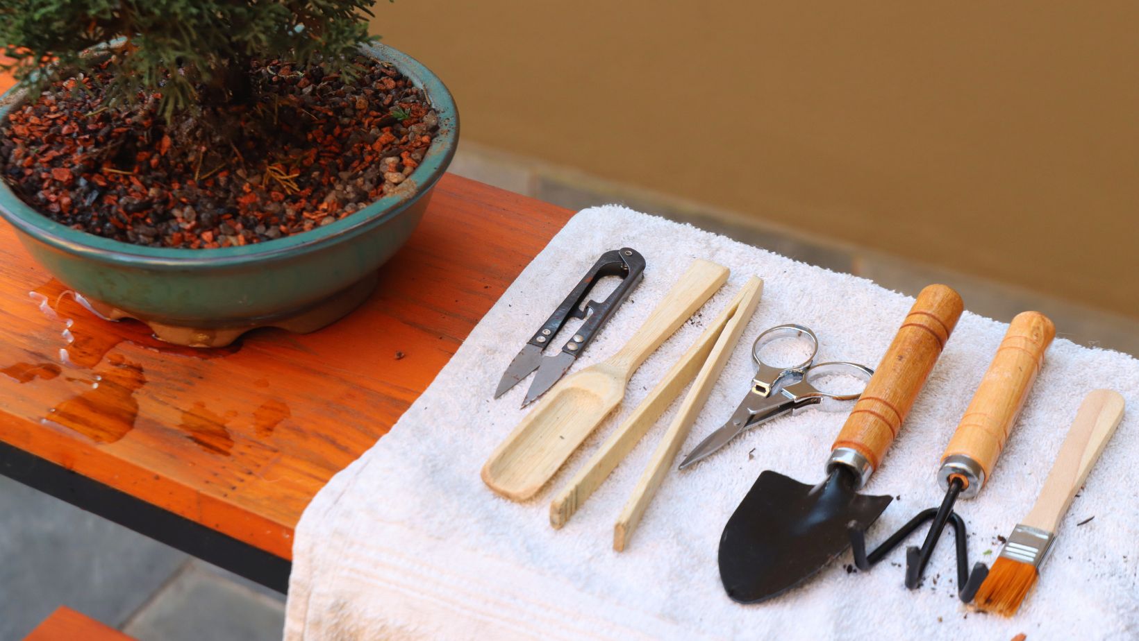 "Bonsai Tools And Supplies: Essentials for Every Bonsai Enthusiast ...