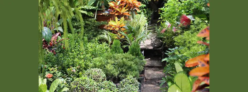 Eco Gardens for Hot Summers: Refreshing Oasis Ideas - Bonsai Nursery